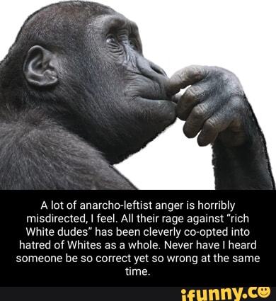 Misdirected memes. Best Collection of funny Misdirected pictures on iFunny