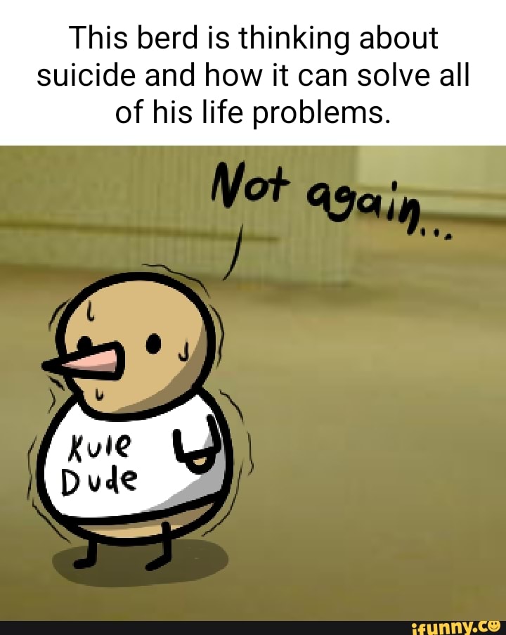 This berd is thinking about suicide and how it can solve all of his ...