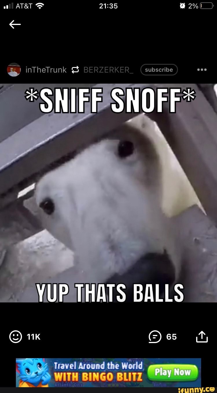 Berzerker memes. Best Collection of funny Berzerker pictures on iFunny