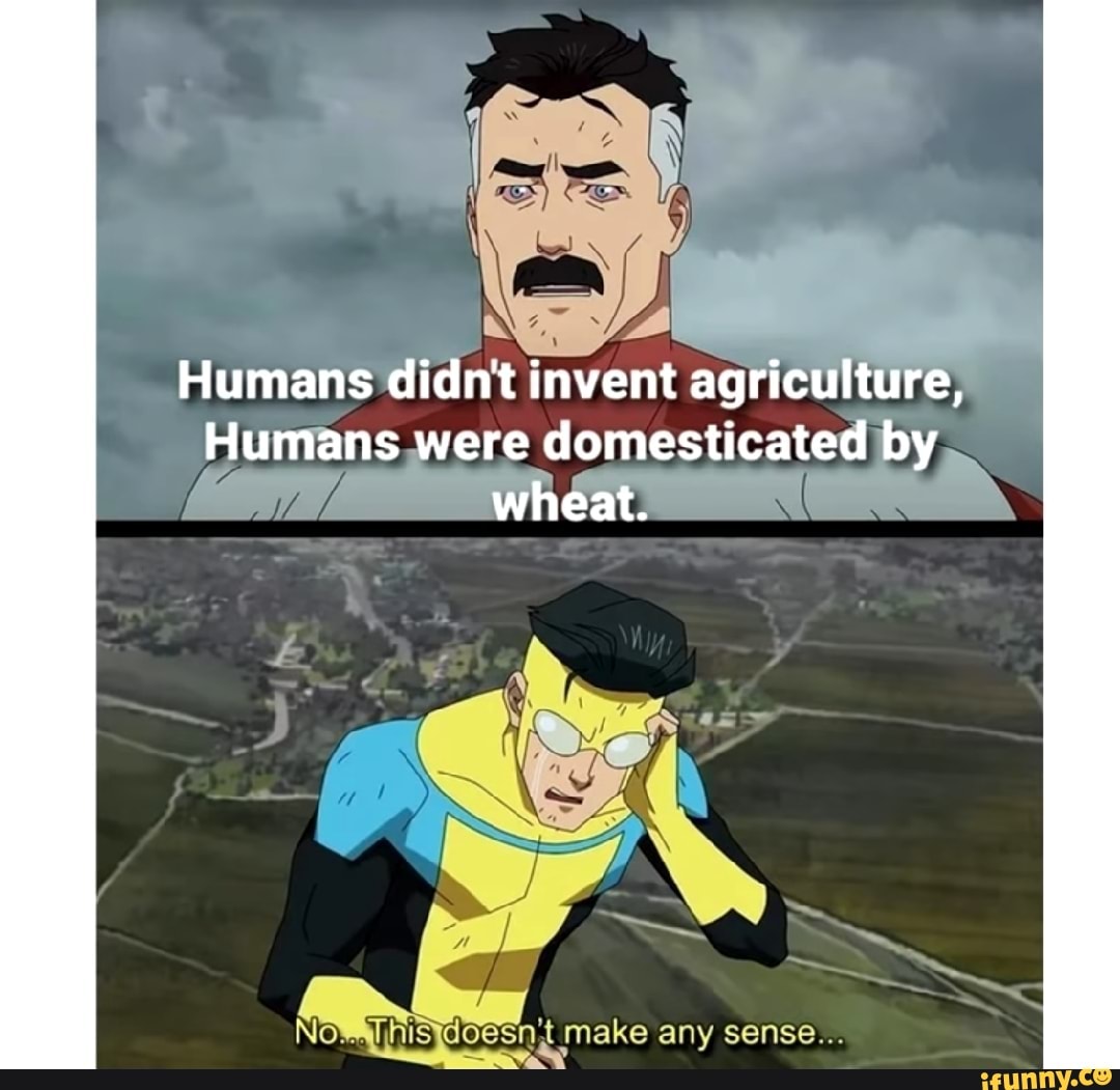 Humans didnt invent agriculture, Humans were domesticated by wheat ...