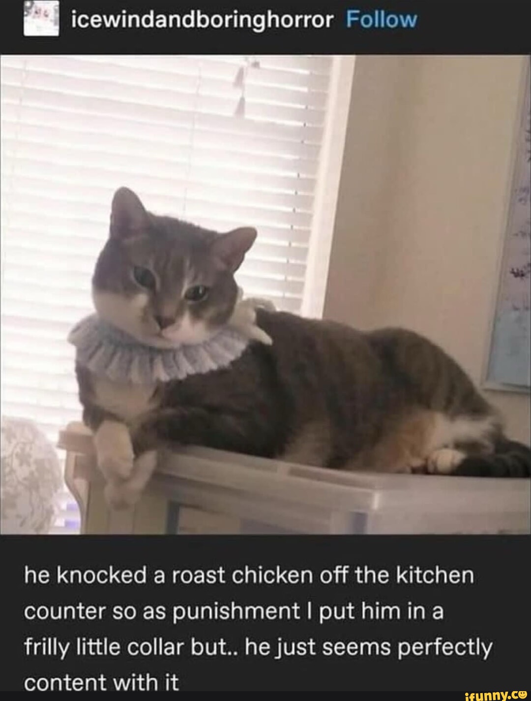 Counter memes. Best Collection of funny Counter pictures on iFunny