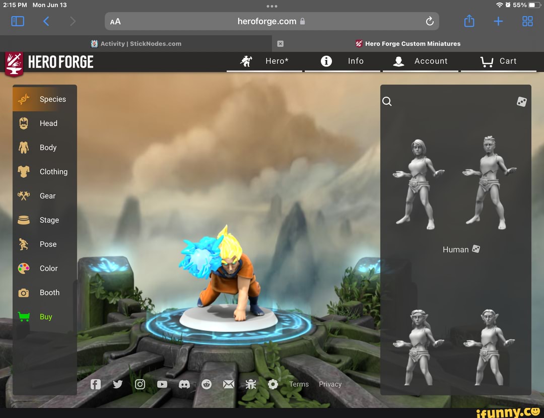 Goku (hf) - Mon Jun 13 aA Activity I Hero Forge Custom Miniatures HERO ...