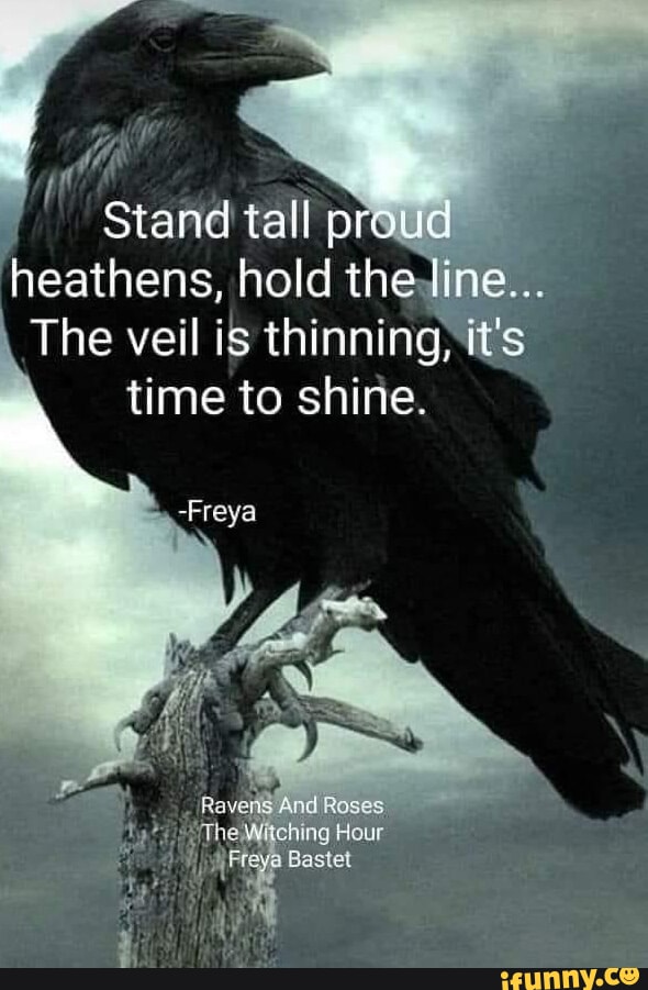 Heathens memes. Best Collection of funny Heathens pictures on iFunny