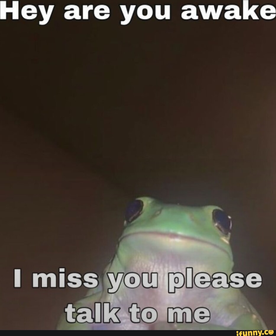 Hey are you awake miss you please talketomme - iFunny