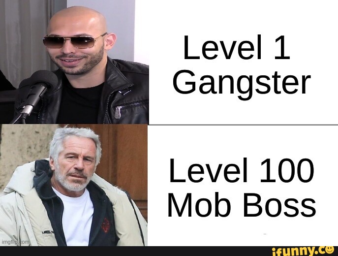 Level 1 Gangster Level 100 Mob Boss - iFunny