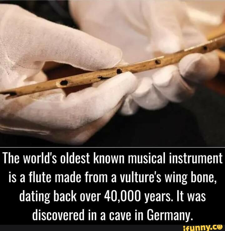 The world's oldest known musical instrument is a flute made from a ...