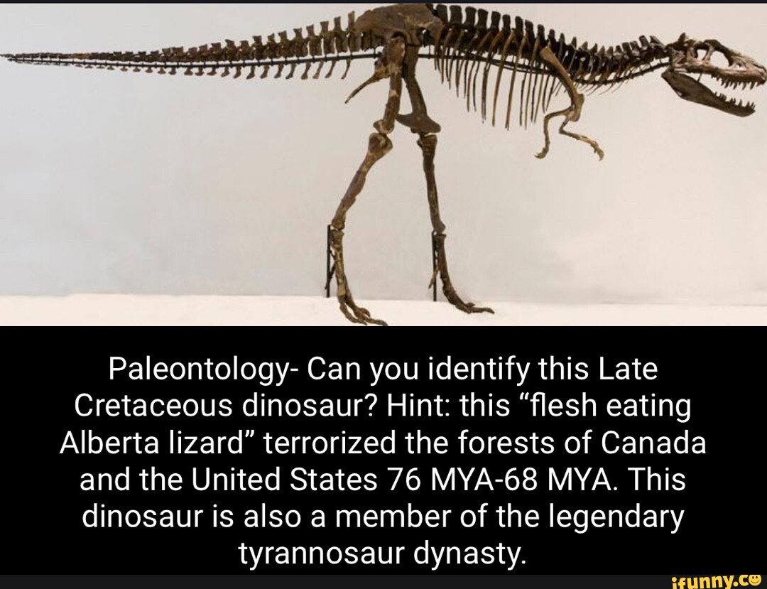SS Paleontology- Can you identify this Late Cretaceous dinosaur? Hint ...
