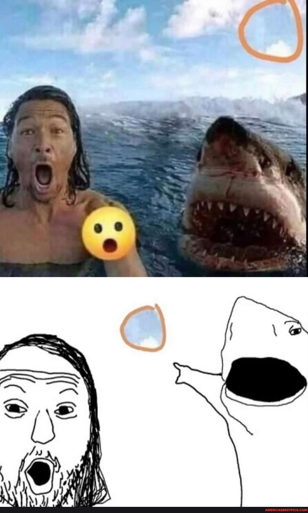 Picture memes eP8SrUUn8 by Funny1__2021 - America’s best pics and videos