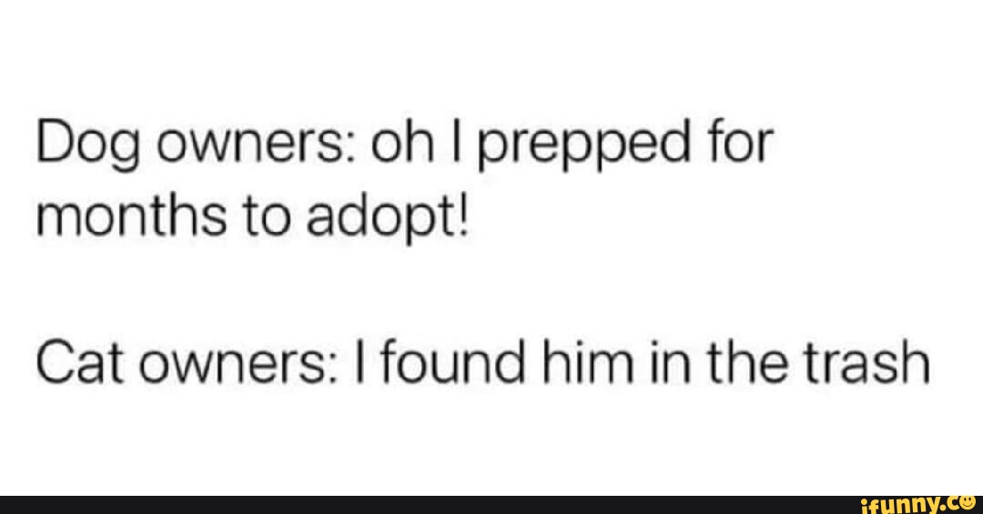 Dog owners: oh I prepped for months to adopt! Cat owners: I found him ...