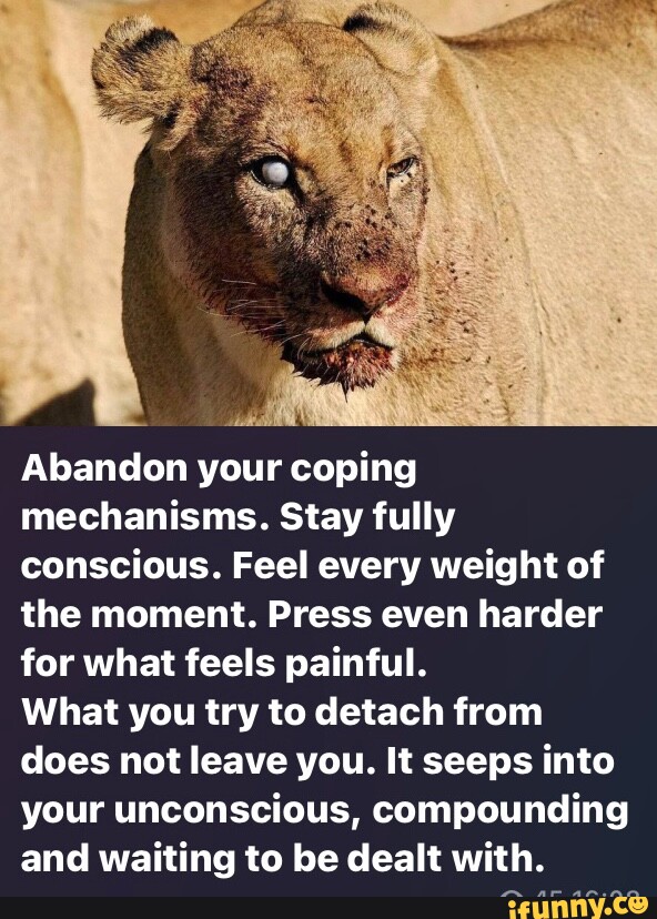 Abandon your coping mechanisms. Stay fully conscious. Feel every weight ...