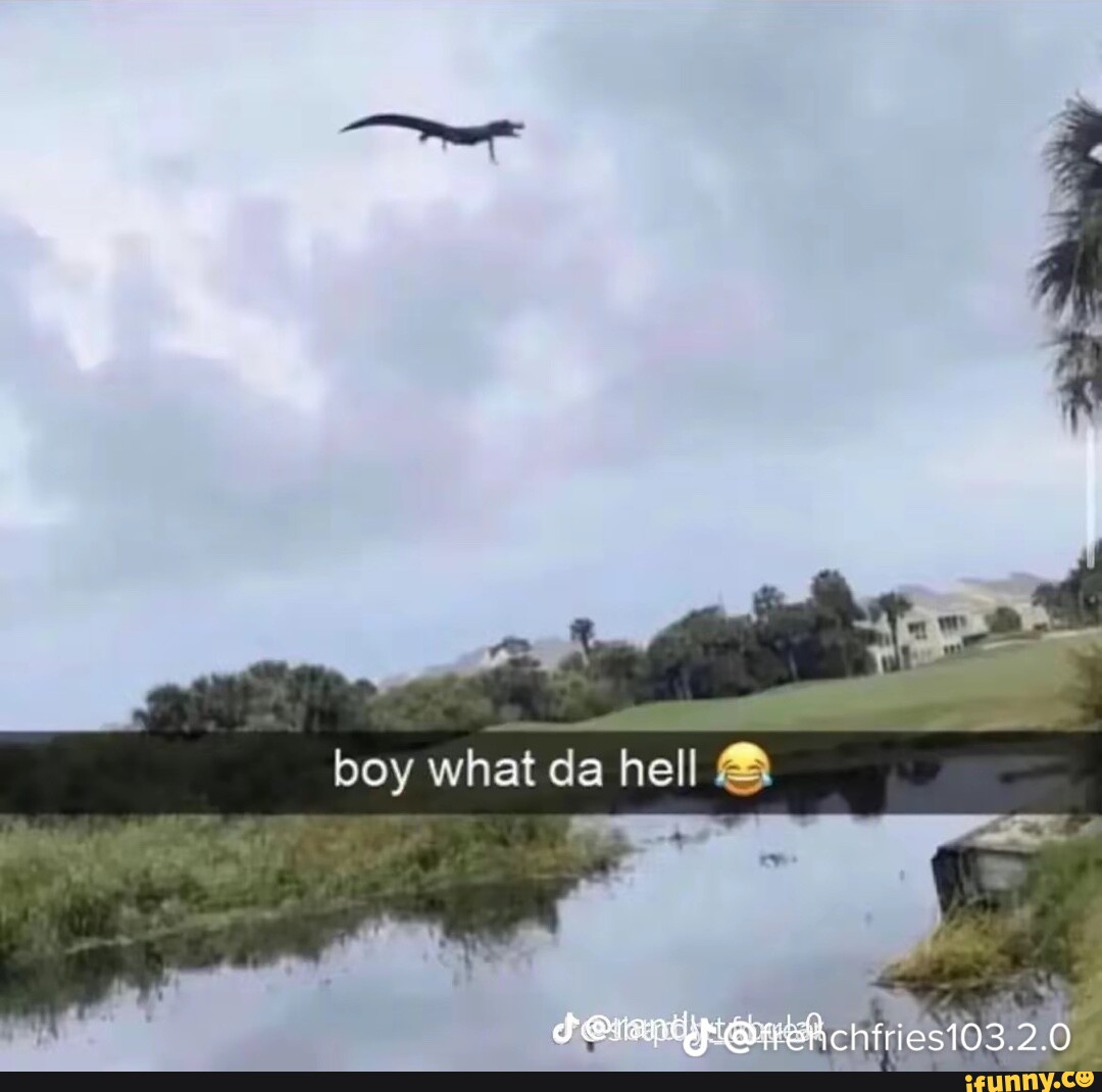 Al boy what da hell chipies103.2.0 - iFunny