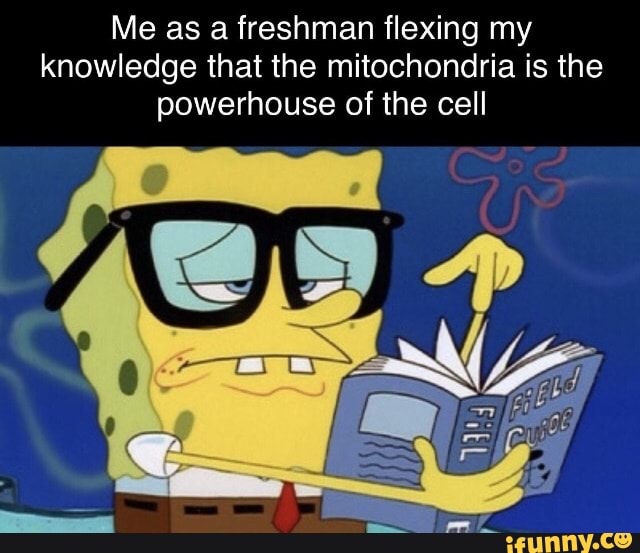 Me as a freshman flexing my knowledge that the mitochondria is the ...