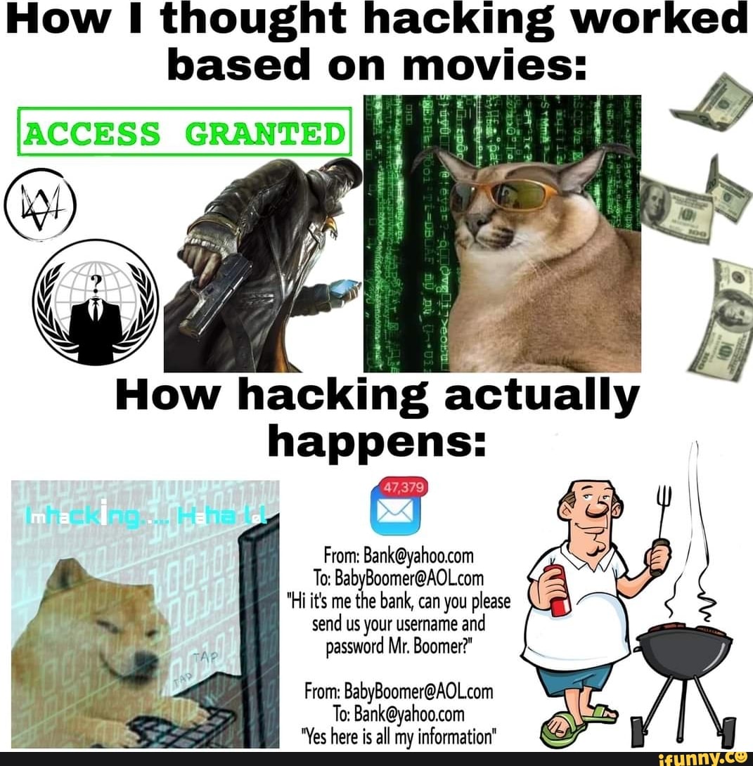 How I thought hacking worked based on movies: ACCESS GRANTED How ...