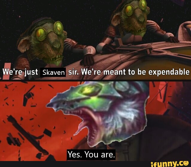 We're just Skaven sir. We're meant to be expendable Yes. You are. - iFunny