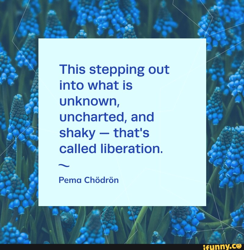 This stepping out into what is unknown, uncharted, and shaky - that's ...