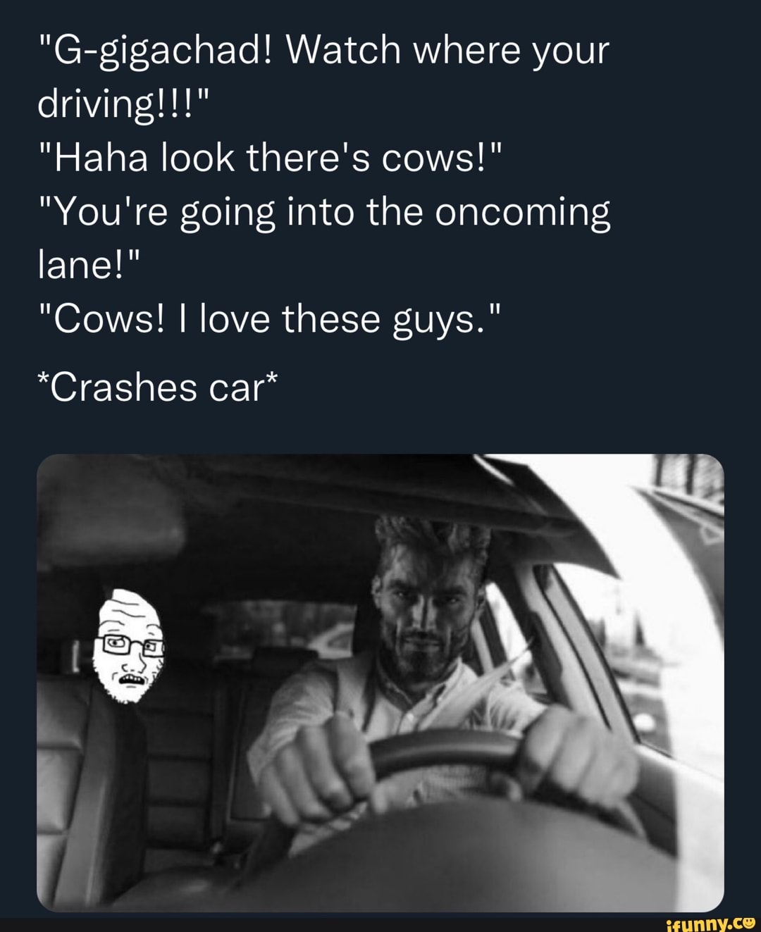 "G-gigachad! Watch where your driving!!!" "Haha look there's cows ...