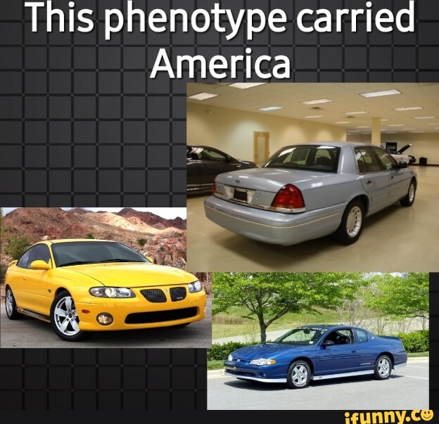 Gto memes. Best Collection of funny Gto pictures on iFunny