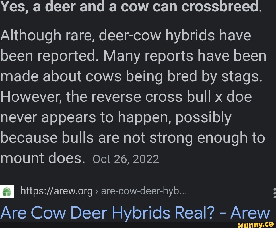 Crossbreed memes. Best Collection of funny Crossbreed pictures on iFunny