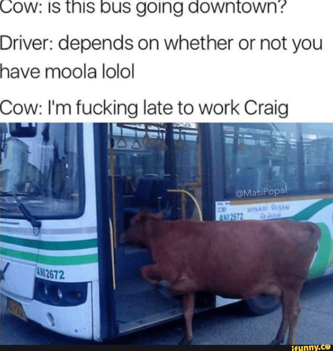 Moola memes. Best Collection of funny Moola pictures on iFunny