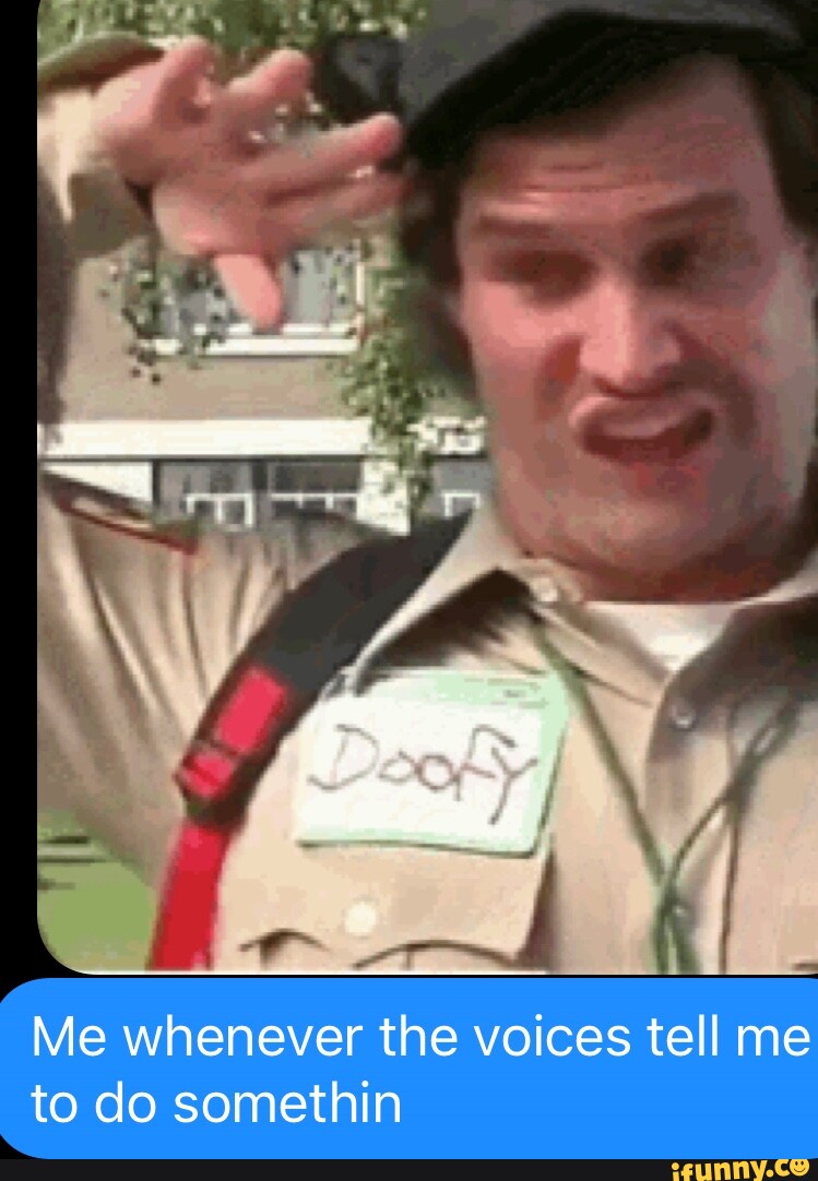 View al Albert II Albert II became the first monkey, first primate, and ...