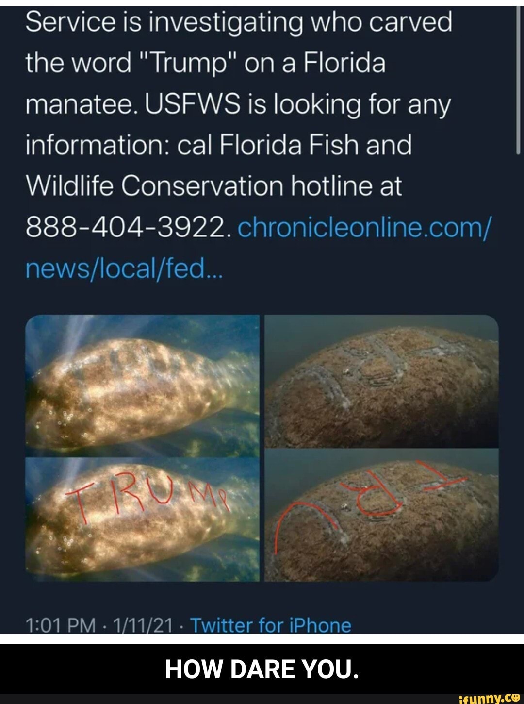 Chronicleonline memes. Best Collection of funny Chronicleonline ...