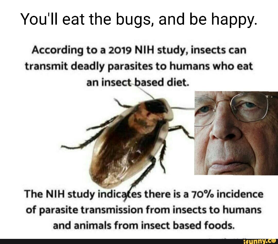 Indicafes memes. Best Collection of funny Indicafes pictures on iFunny