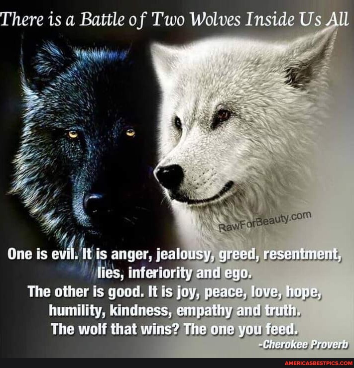 There is Battle of Two Wolves Inside Us All One is evil. is anger ...