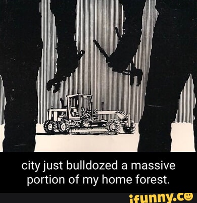 City just bulldozed a massive portion of my home forest. - iFunny