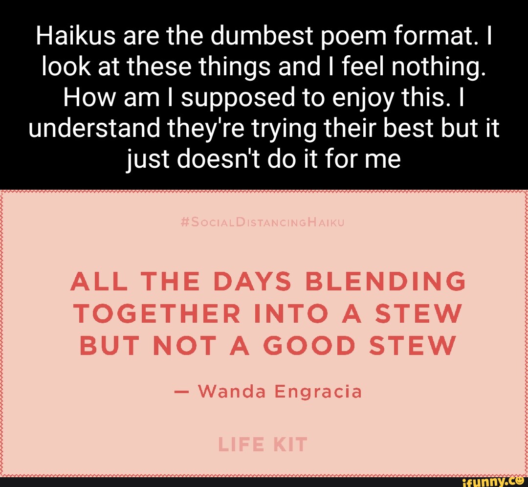 Haikus are the dumbest poem format. I look at these things and I feel ...