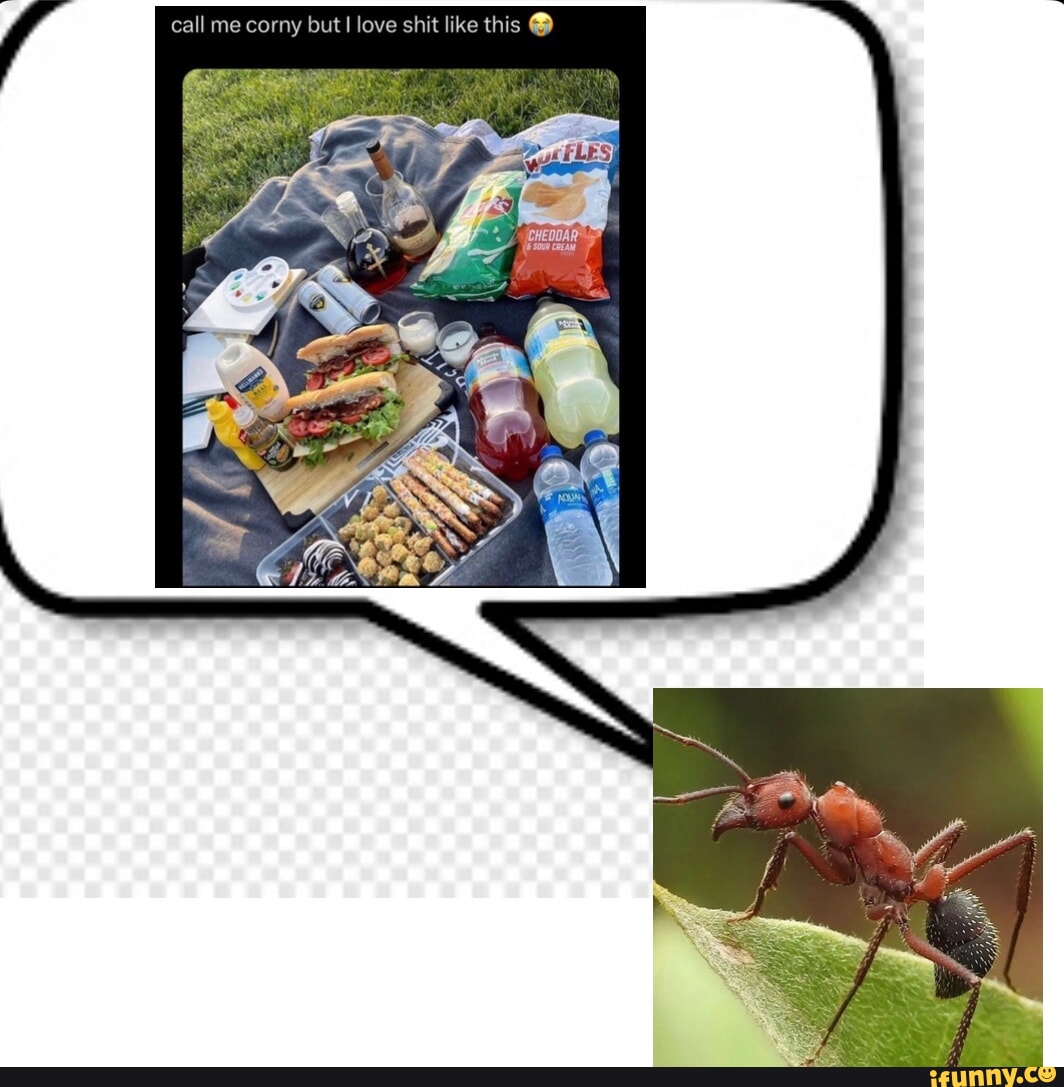 Ull Verizon ? OMG! Did you know that Firefly is the opposite of ...