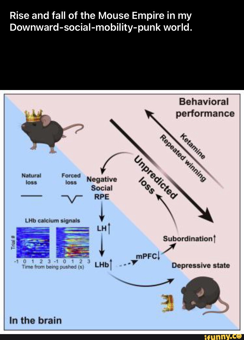 Rise and fall of the Mouse Empire in my Downward-social-mobility-punk ...