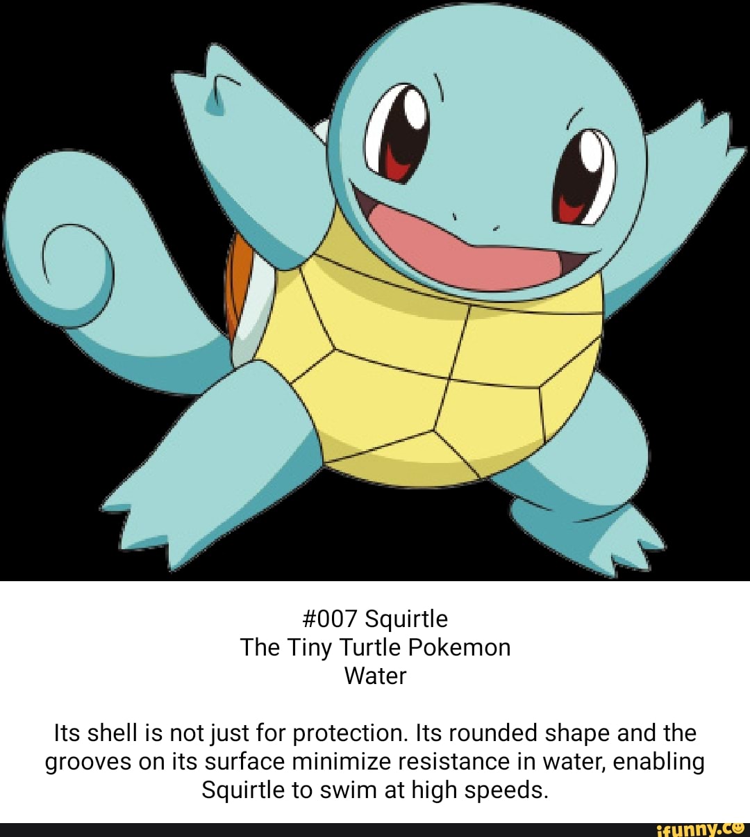 #007 Squirtle The Tiny Turtle Pokemon Water Its shell is not just for ...