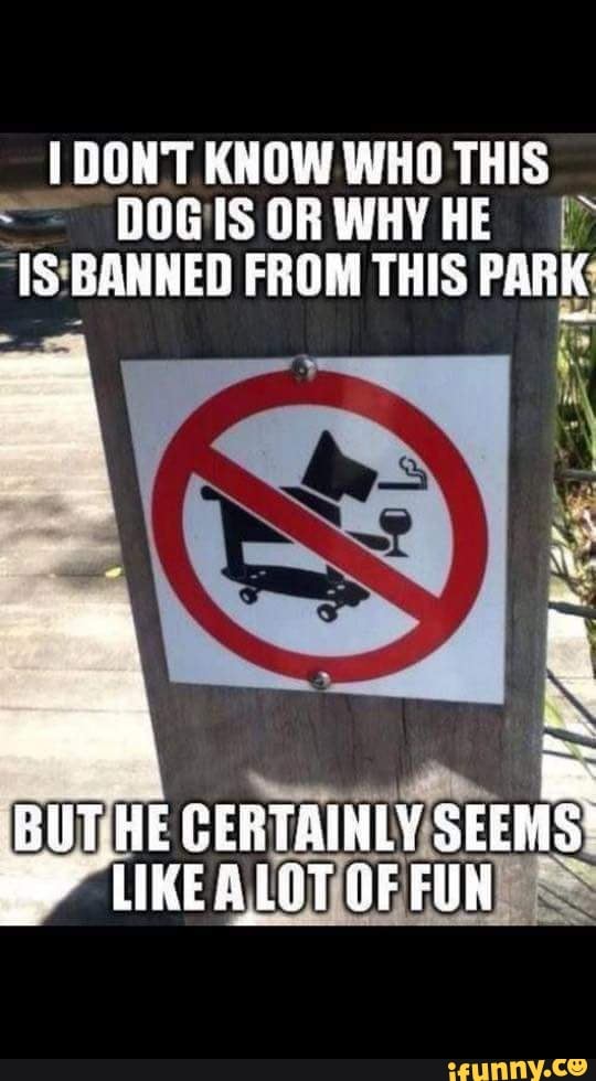 DONT KNOW WHO THIS DOGS OR WHY HE BANNED FROM THIS PARK BUT E CERTAINLY ...