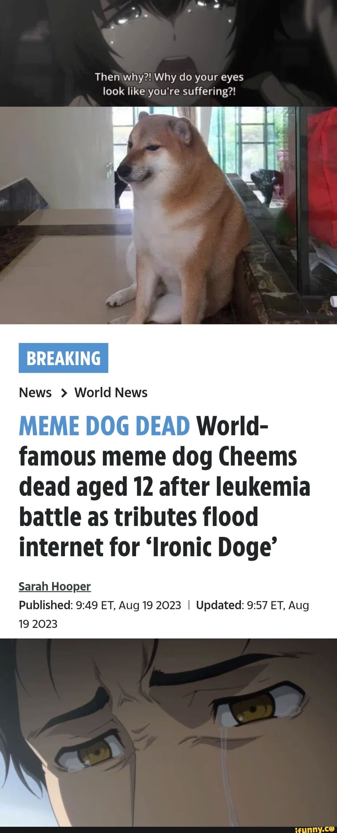 Then why?! Why do your eyes look like you're suffering?! I BREAKING ...