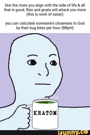 Gnats memes. Best Collection of funny Gnats pictures on iFunny