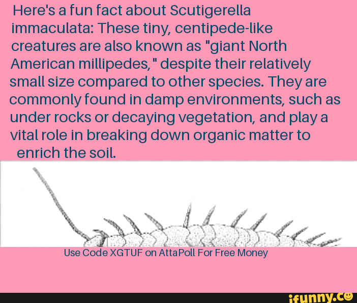 Millipedes memes. Best Collection of funny Millipedes pictures on iFunny