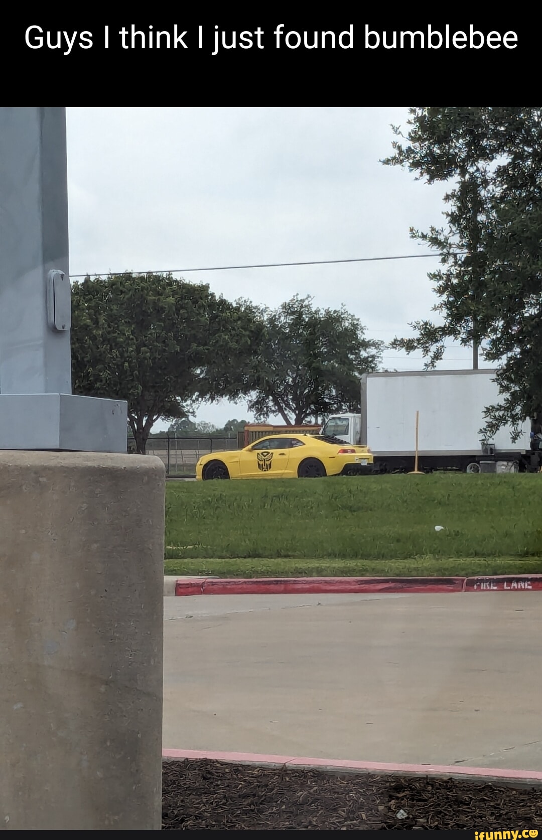 Bumblebee memes. Best Collection of funny Bumblebee pictures on iFunny