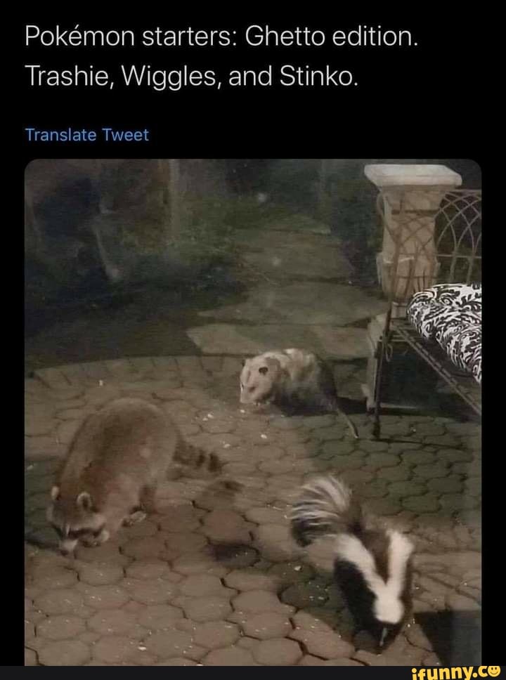 Ghetto Pokemon Fan