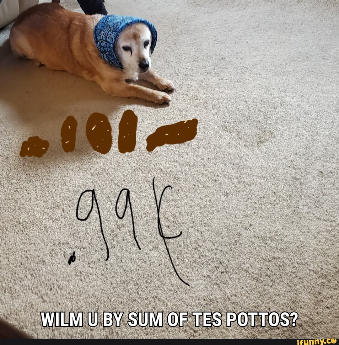 Wilm memes. Best Collection of funny Wilm pictures on iFunny