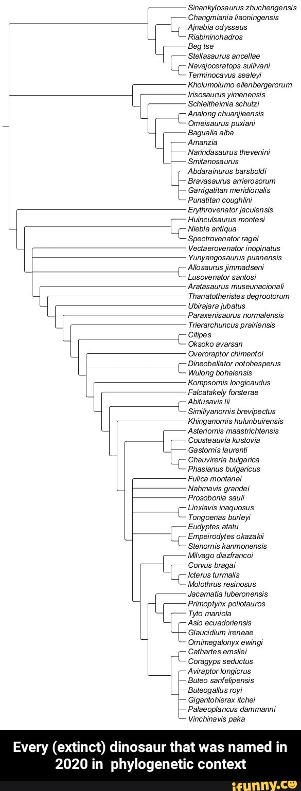 Trierarchuncus memes. Best Collection of funny Trierarchuncus pictures ...