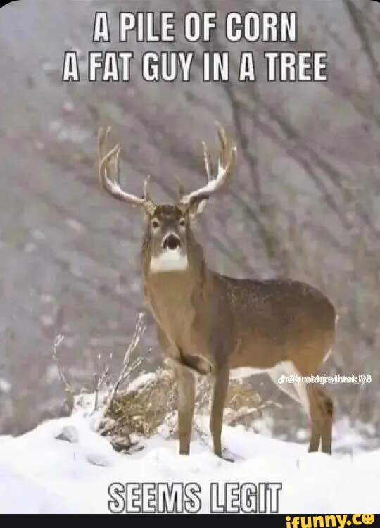 PILE OF CORN A-FAT GUY IN A TREE - iFunny