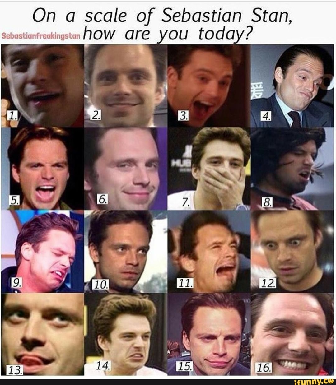 On a scale of Sebastian Stan, how are you today? - iFunny