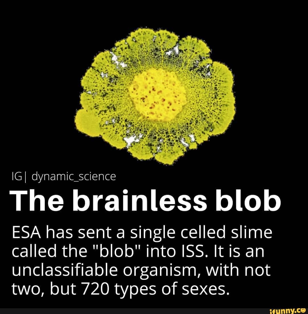 Blob memes. Best Collection of funny Blob pictures on iFunny