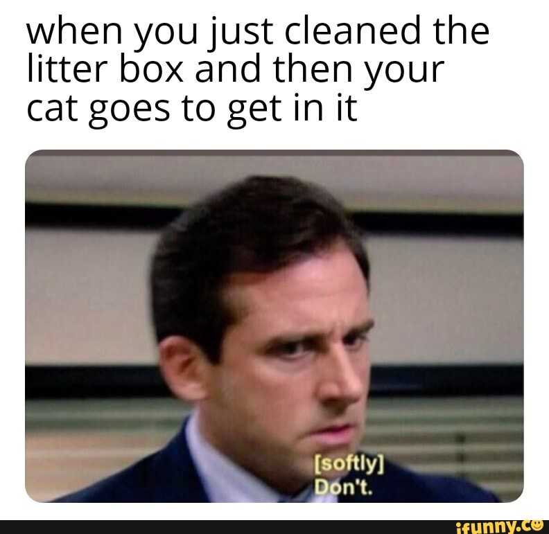 When you just cleaned the litter box and then your cat goes to get in ...