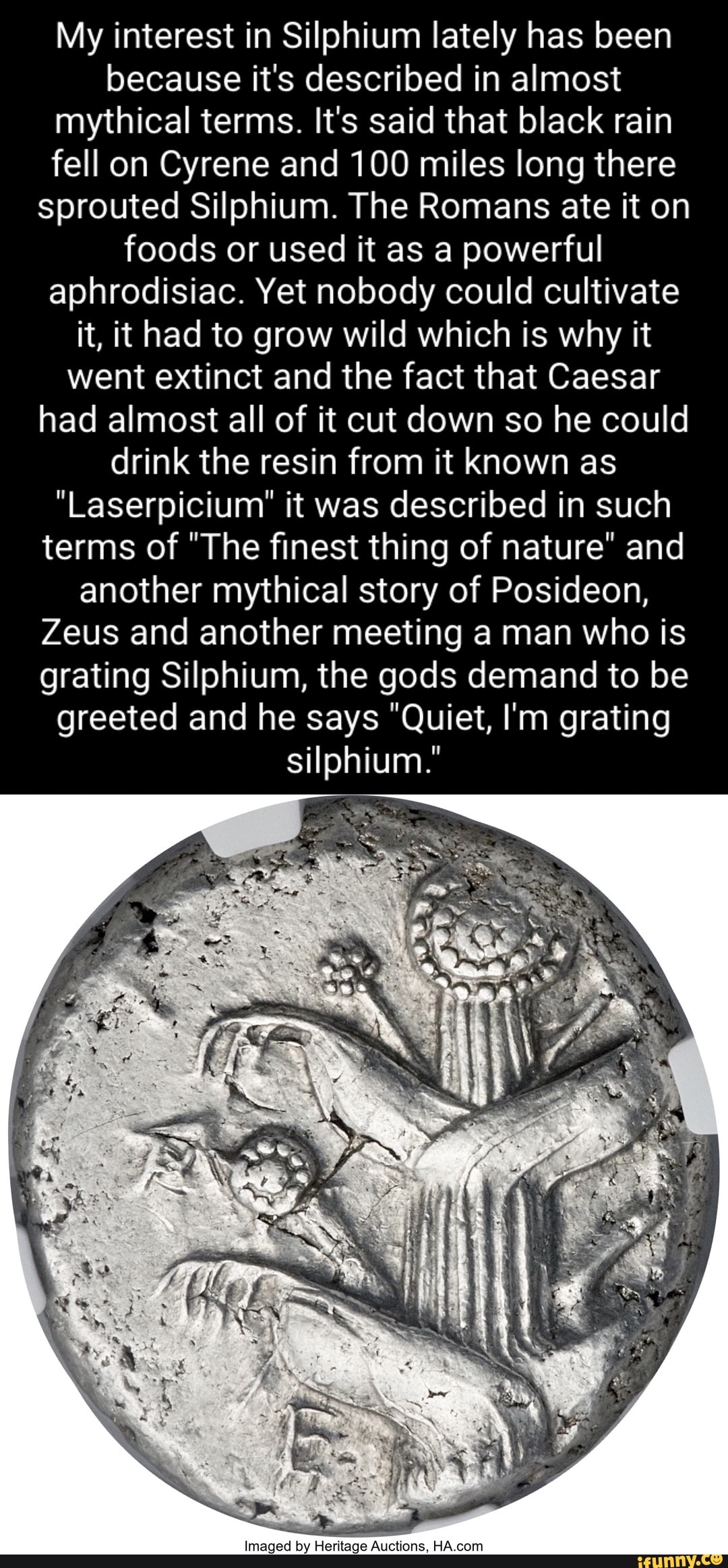 Silphium memes. Best Collection of funny Silphium pictures on iFunny