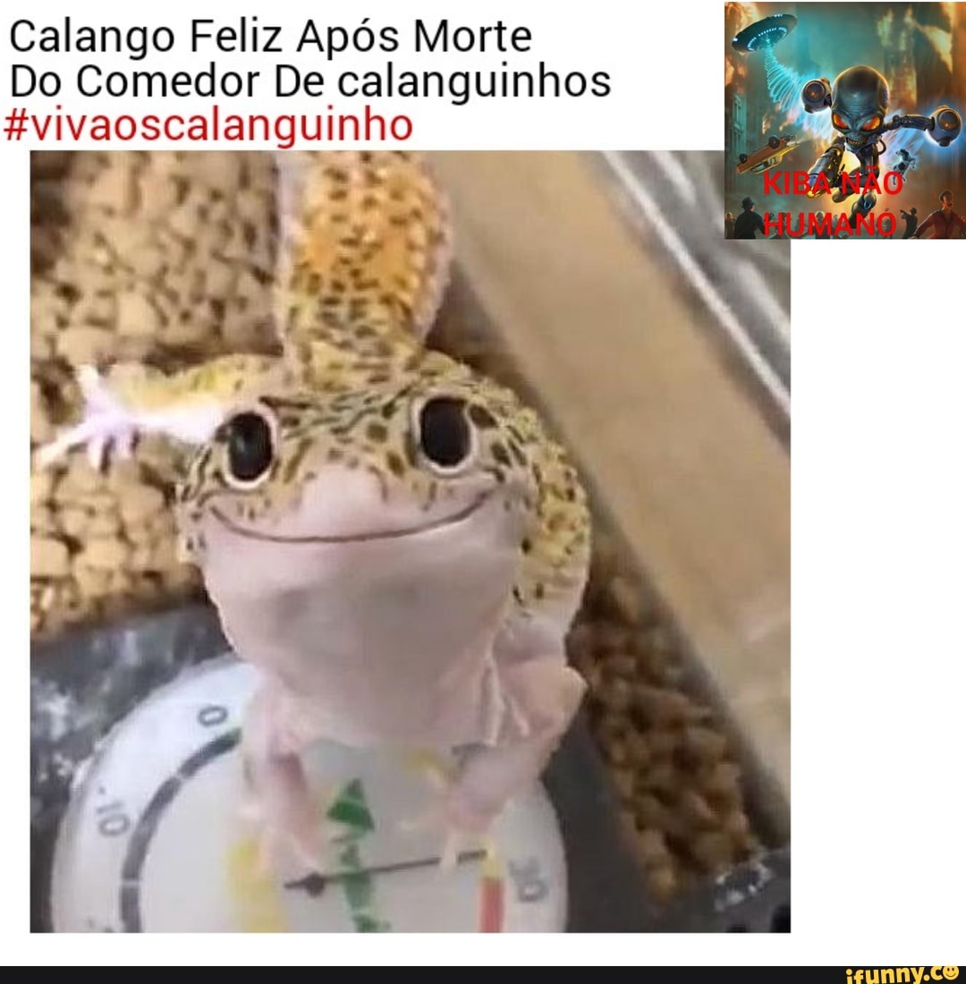 Memes de imagem s5ZP2ZGx7 por ETSVALDO - )