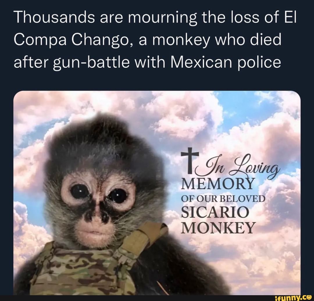 Chango memes. Best Collection of funny Chango pictures on iFunny