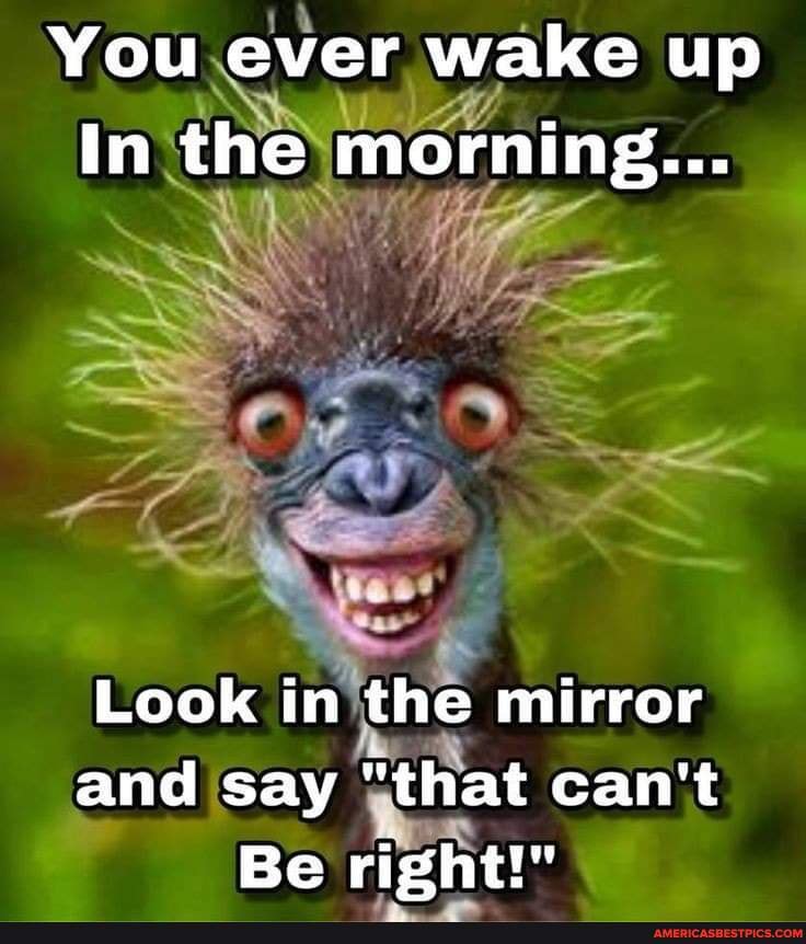 You ever wake up In the morning... Look in the mirror and say "that can ...