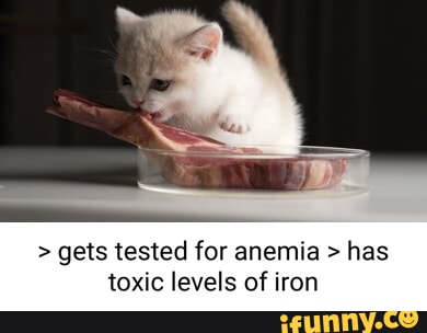 Anemia memes. Best Collection of funny Anemia pictures on iFunny