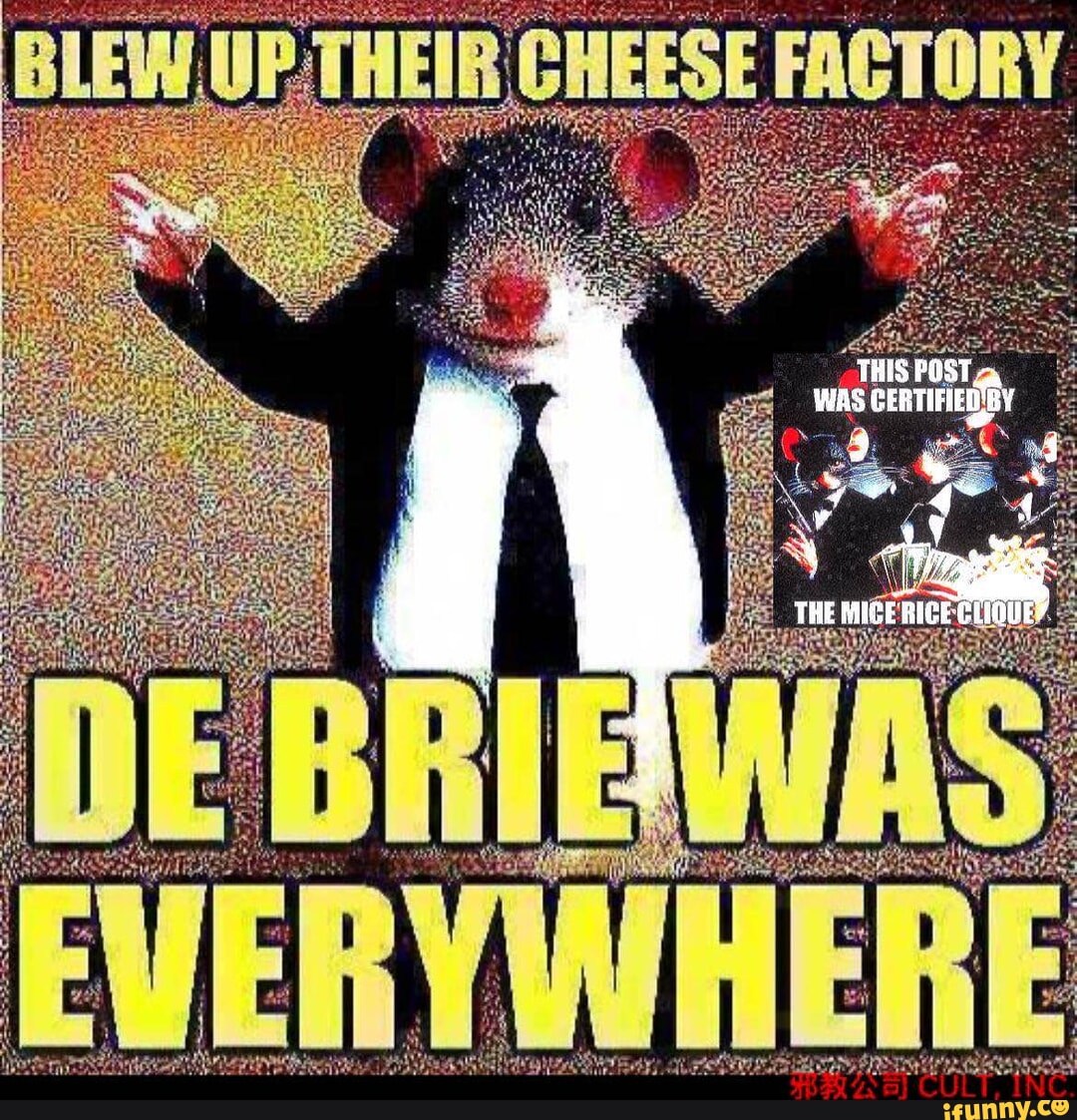 Brie memes. Best Collection of funny Brie pictures on iFunny